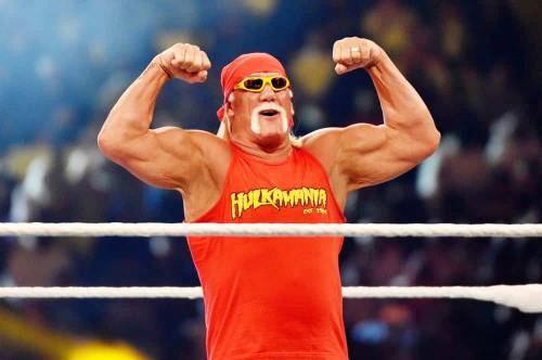 Hulk Hogan No Bandana